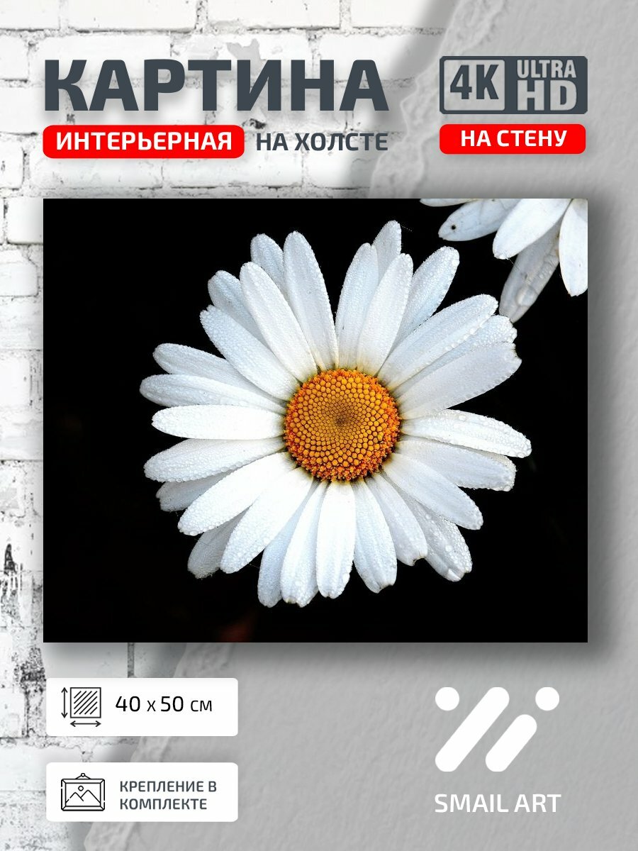 Картина на холсте интерьерная 40 на 50 на стену Ромашка Landscape для кафе пейзаж интерьер