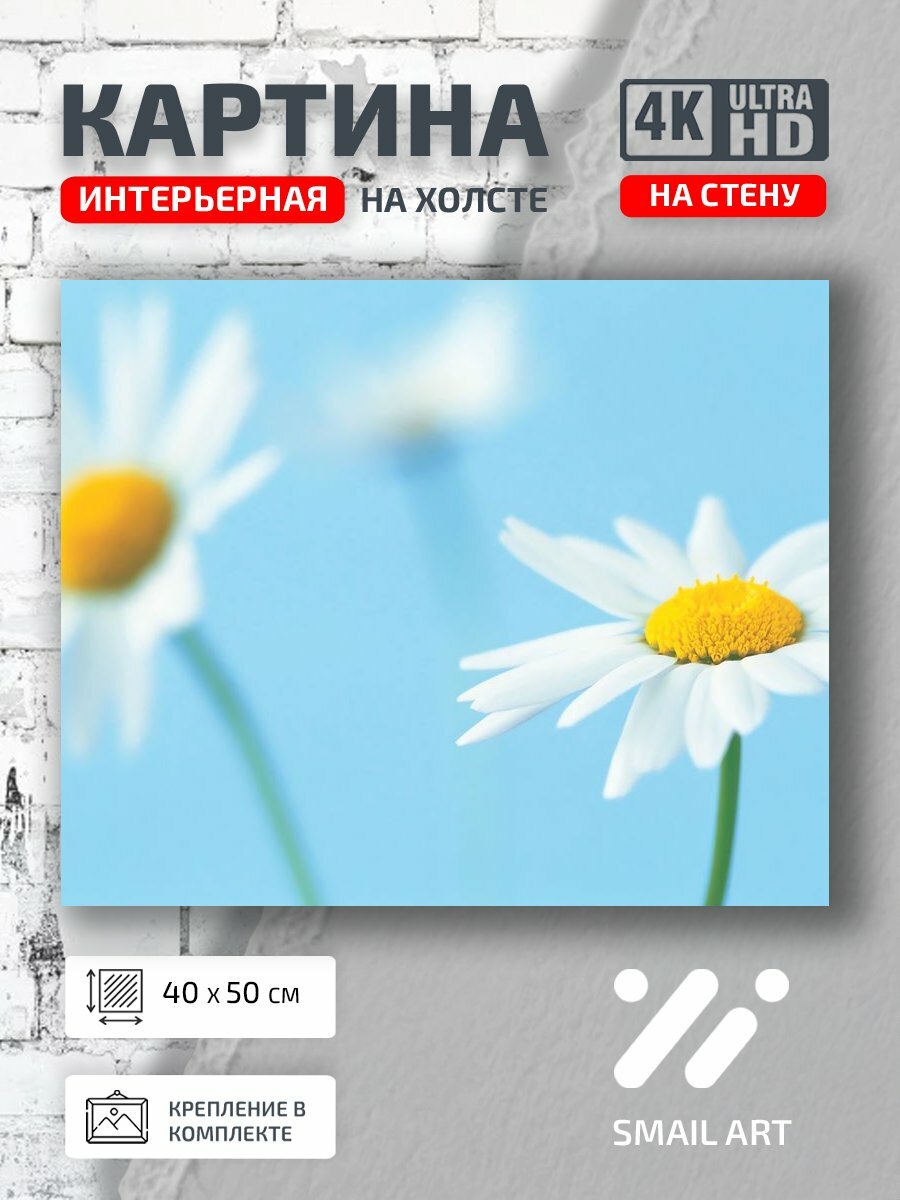Картина на холсте интерьерная 40 на 50 на стену Ромашки Mood для гостиной атмосфера декор