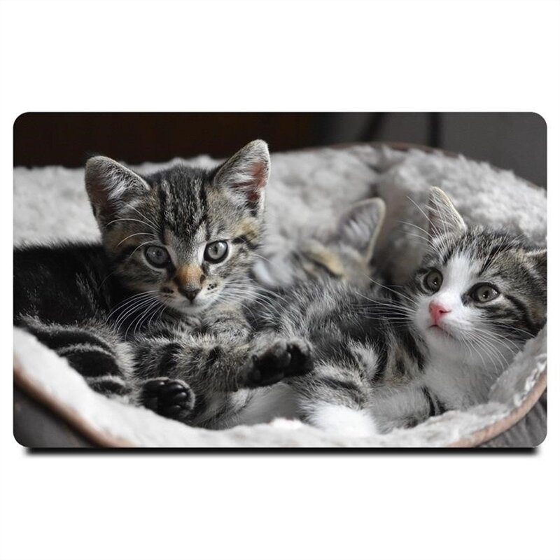 Магнит на холодильник "Котики"