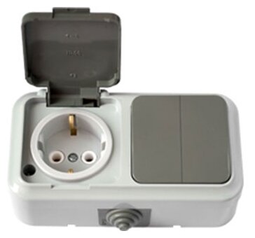 Блок: розетка с заземлением и двухклавишный выключатель (серый)