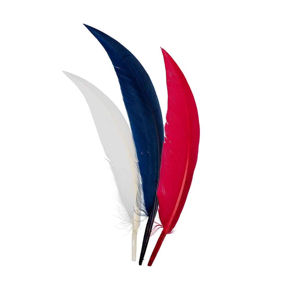Mr.Painter PLU-05-YG83 Перья декоративные 12-15 см набор 24 шт ±2 цвета синий розовый белый