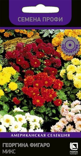 Семена Георгина Фигаро Микс 10шт Одн 35см (Поиск) Семена Профи