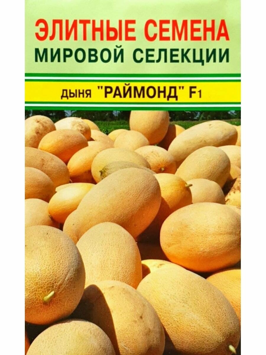 Дыня Раймонд