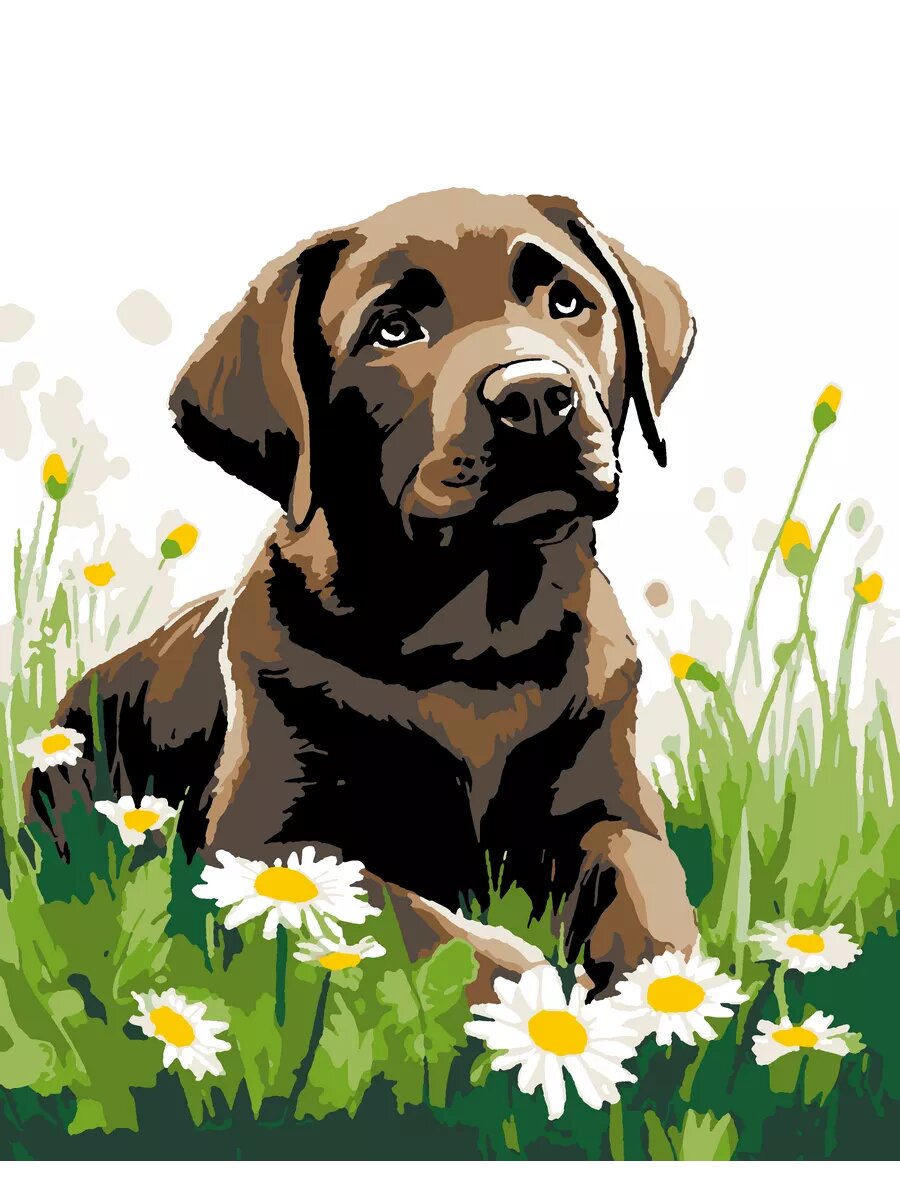 Картина по номерам "Собака Лабрадор" 40x50