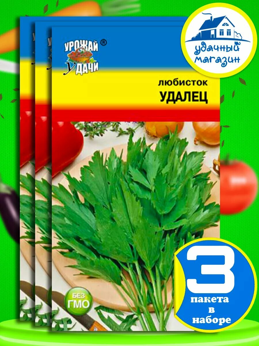 Семена любисток лекарственный