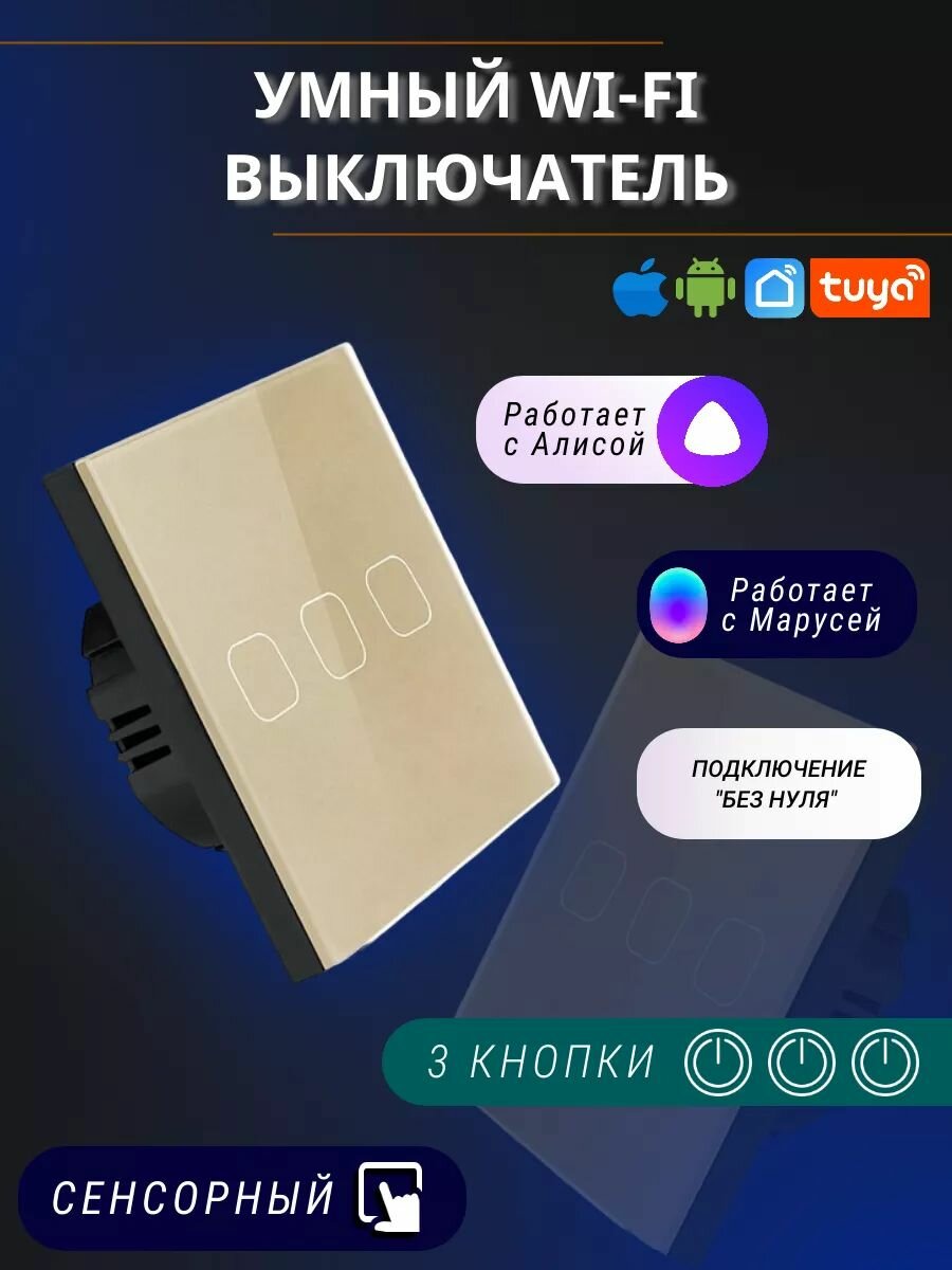 Сенсорный электронный двухклавишный wifi выключатель tuya