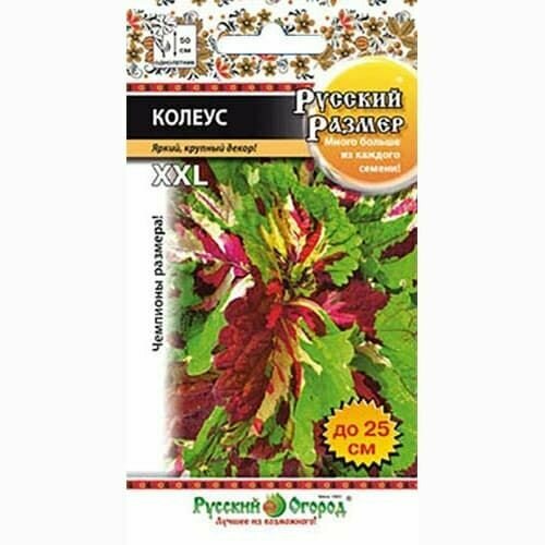 Семена Русский огород Колеус Русский размер, высота до 25 см, однолетник с крупными листьями, 4 шт
