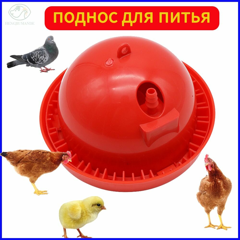 Автопоилка