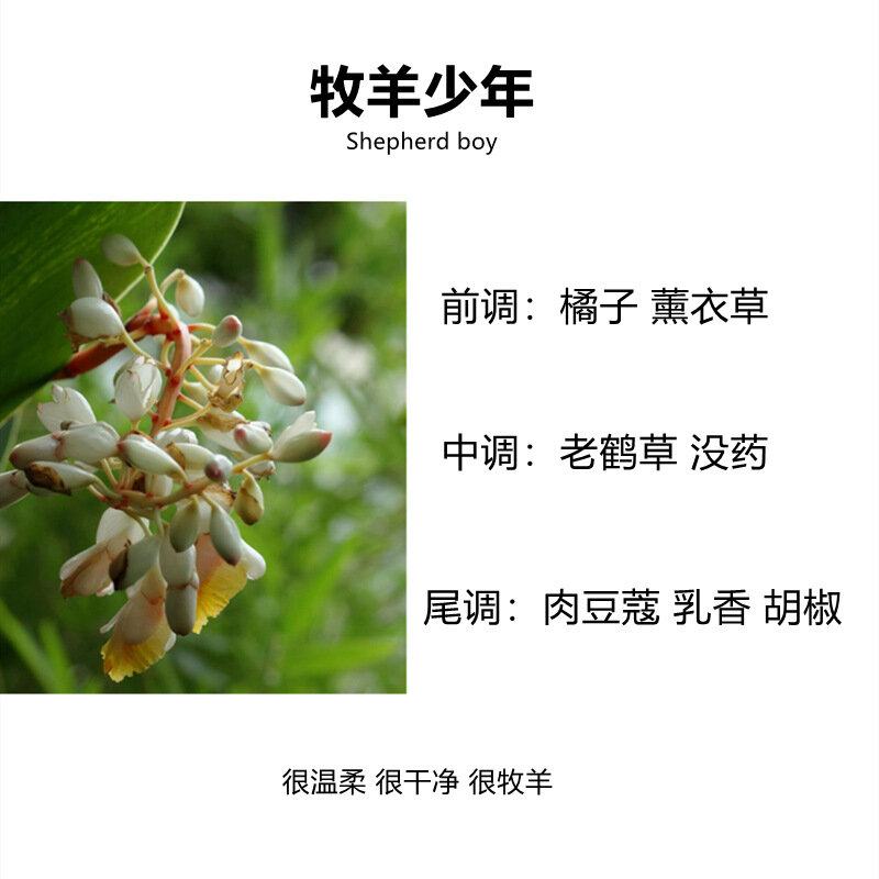 (Увидели цветы расцветают) Ароматическая свеча для дома и спальни, романтический аромат, подарок на день рождения для подруги, украшение