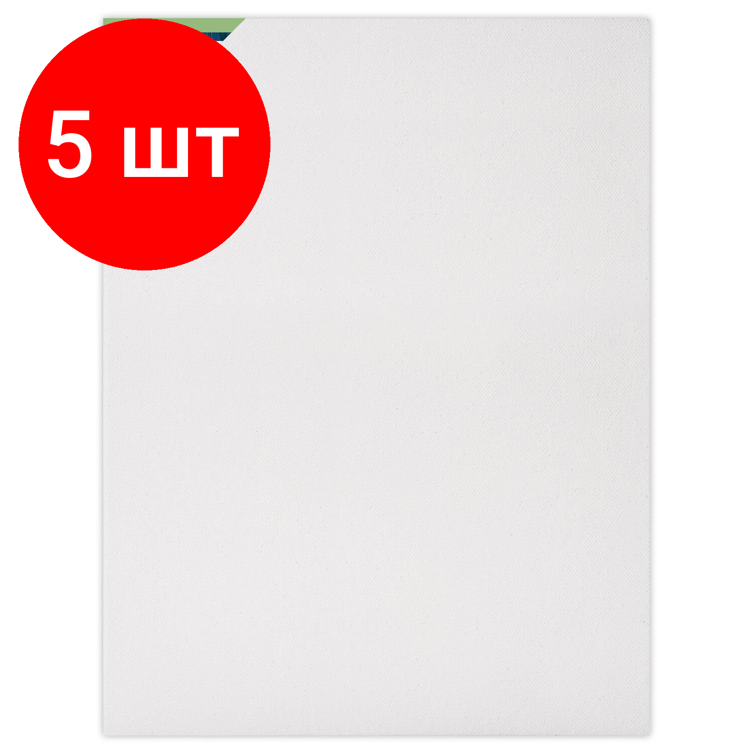 Комплект 5 шт, Холст на подрамнике BRAUBERG ART BASIC, 60х80 см, 280 г/м2, хлопок, мелкое зерно, грунт, 192669