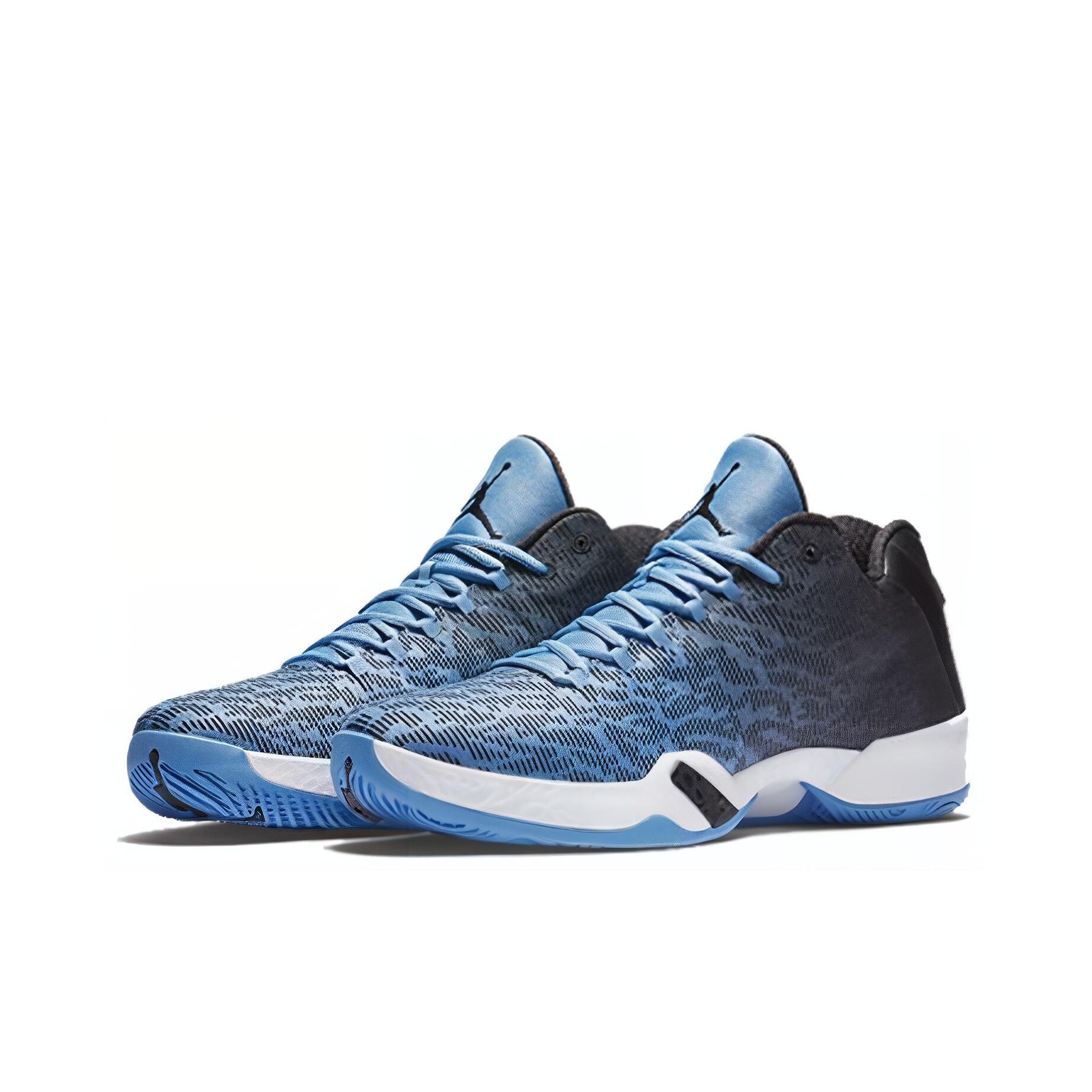 Кроссовки Jordan Air Jordan 29, размер EU 44.5 стопа (28.5CM), синий — фото 1