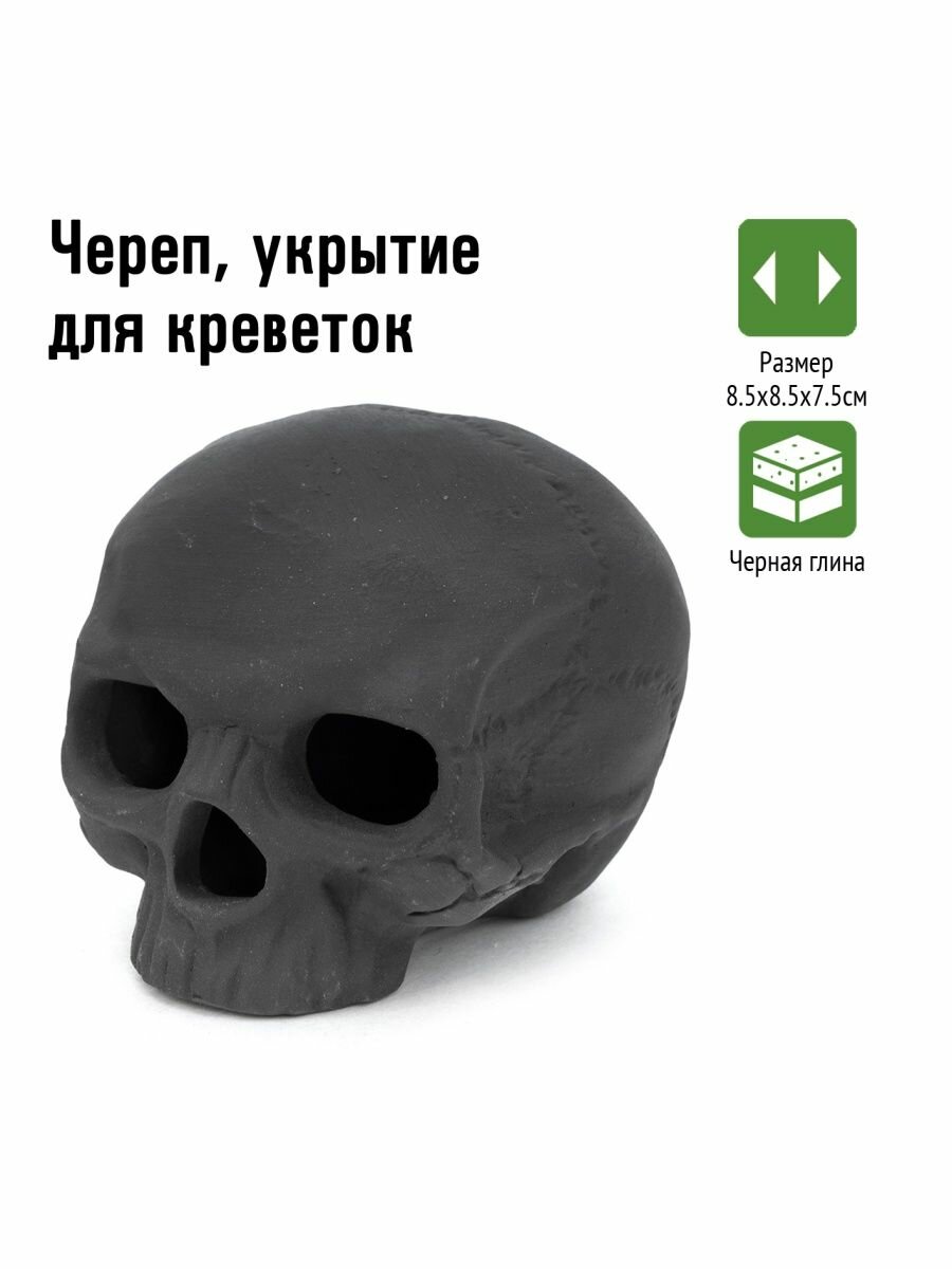Искусственная декорация Gloxy для аквариума Череп укрытие для креветок 8.5х8.5х7.5см