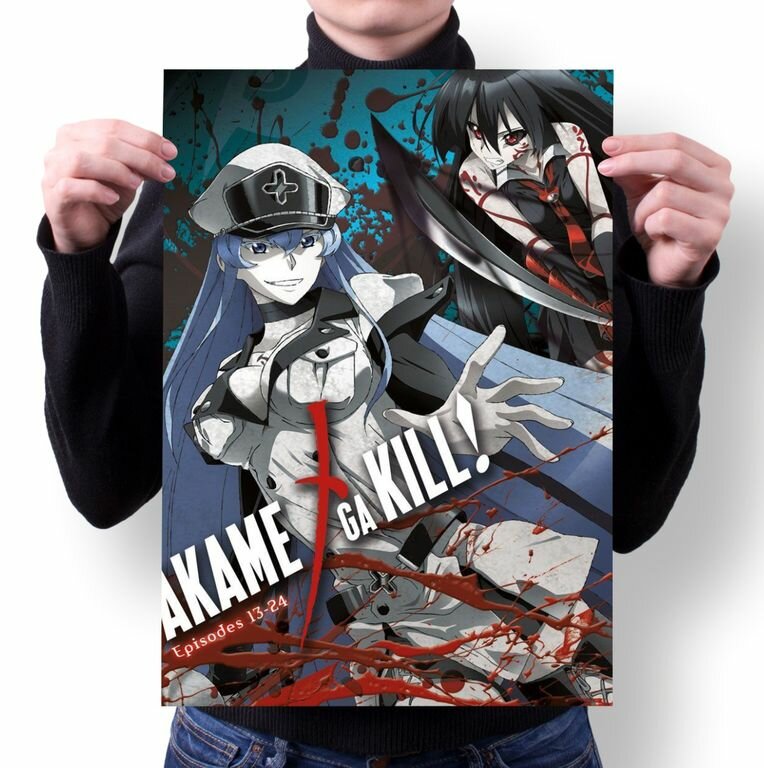 Плакат Убийца Акамэ, Akame ga Kill №11, А4