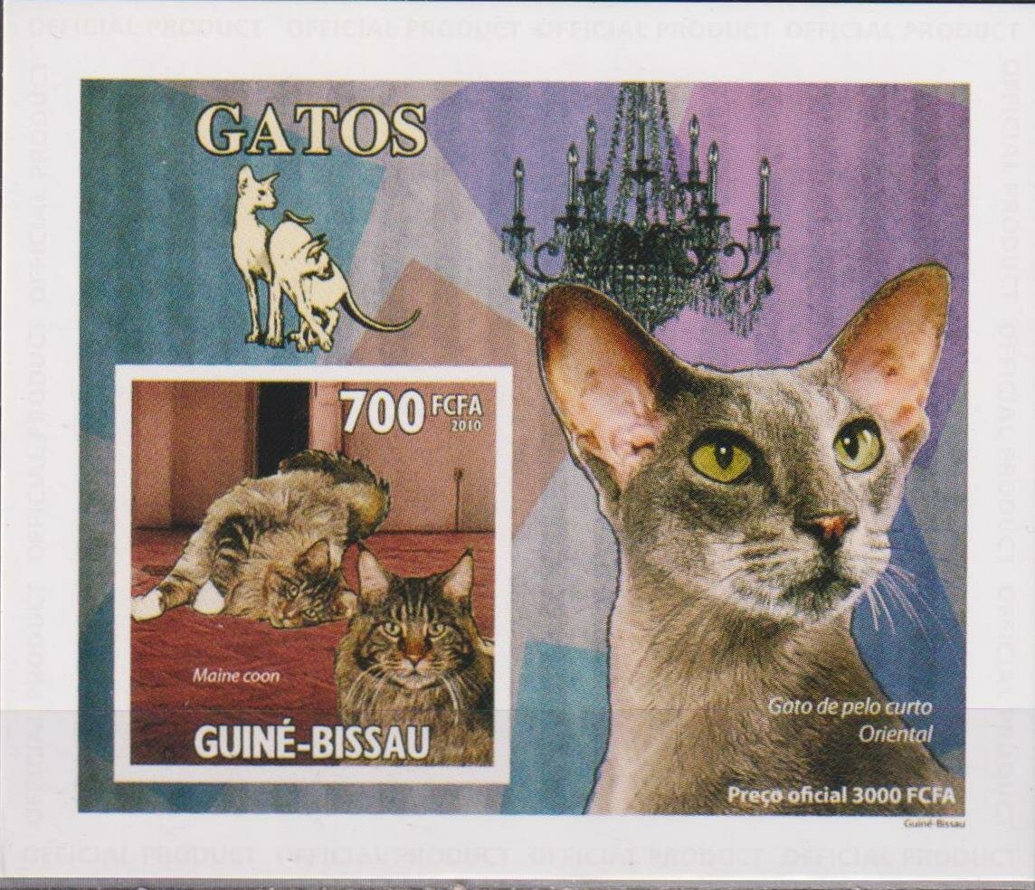Почтовые марки Гвинея-Бисау 2010г. "Домашние кошки - люкс блок" Кошки MNH