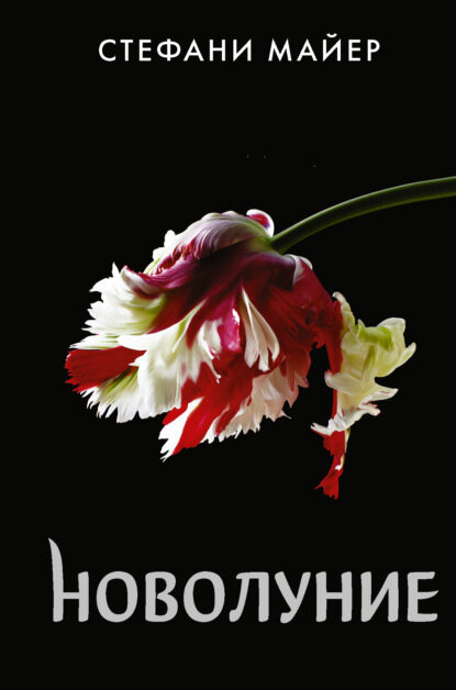 Новолуние [Цифровая книга]