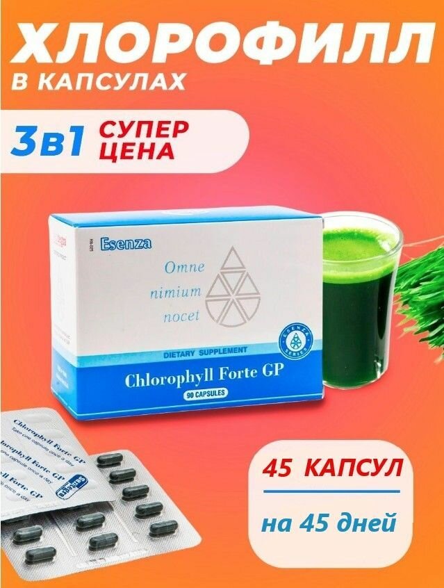 Chlorophyll Forte Santegra(Сантегра), Хлорофилл Форте, природный антисептик, улучшает пищеварение, укрепит иммунитет, жидкий хлорофилл в капсулах 50 мг, 45 капсул на 45 дней