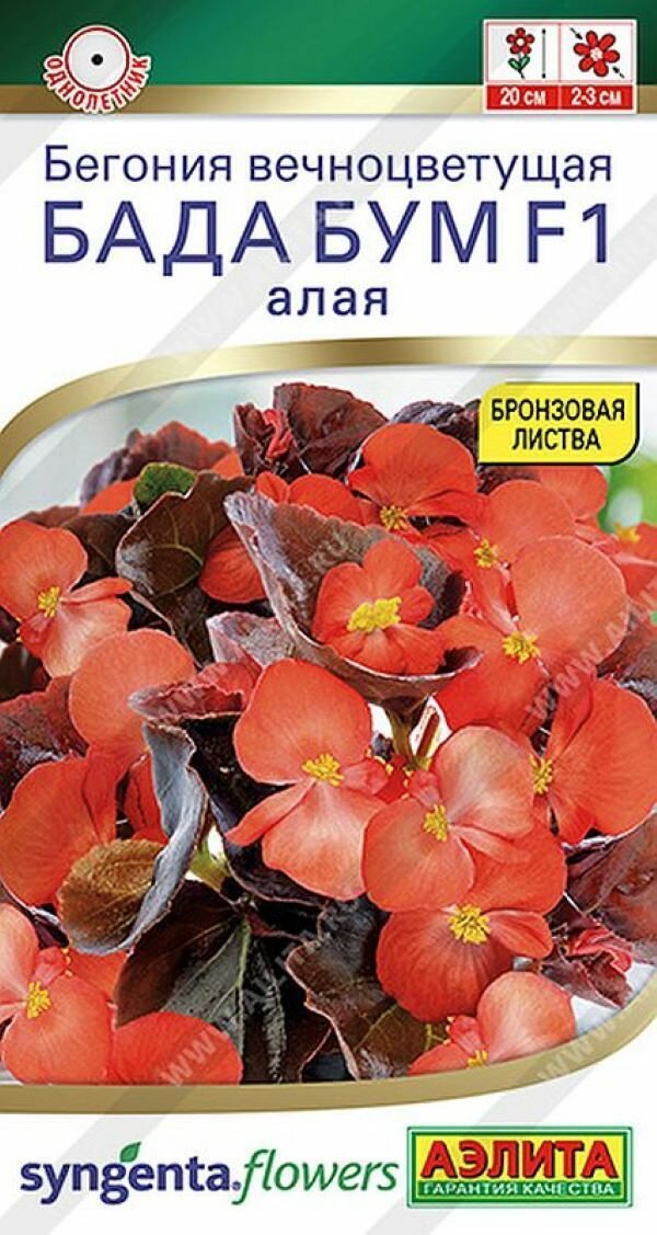 Бегония Бада бум F1 алая