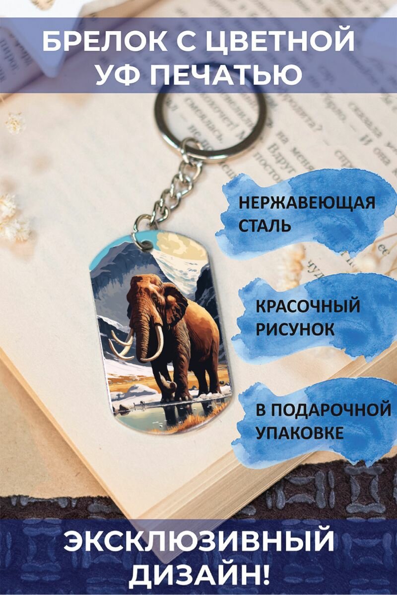 Брелок PNP