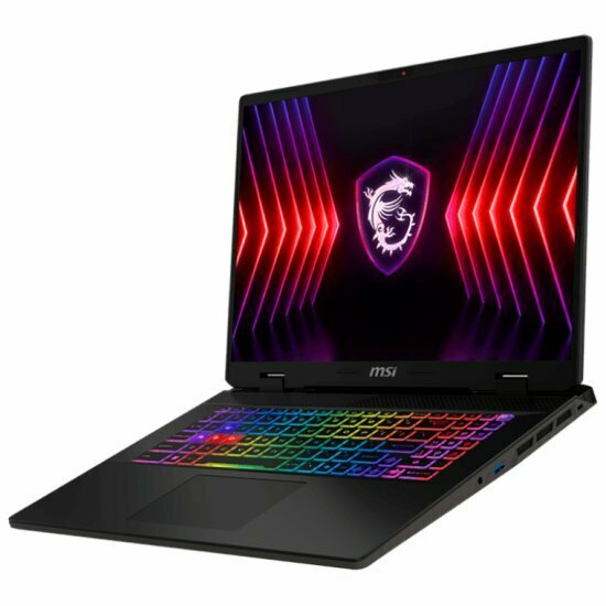 Ноутбук Msi Sword 17 HX B13VEKG-200XRU (9S7-17T214-200)