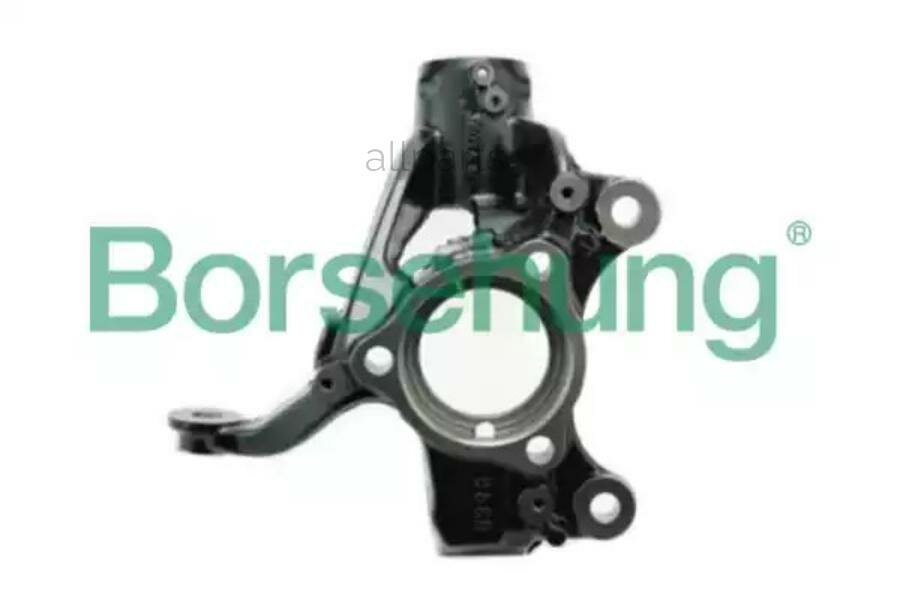 BORSEHUNG B18509 Кулак поворотный