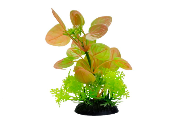 Homefish Кальдезия разноцветная растение для аквариума пластиковое с грузом, 12 см