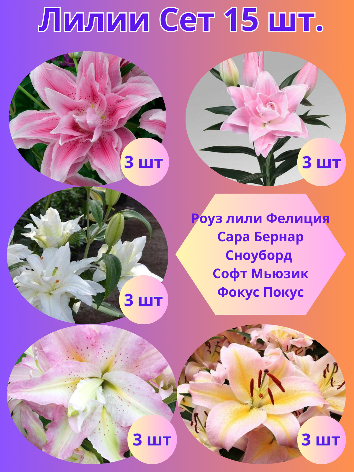Лилия сет4, луковицы многолетние цветы, 15 штук