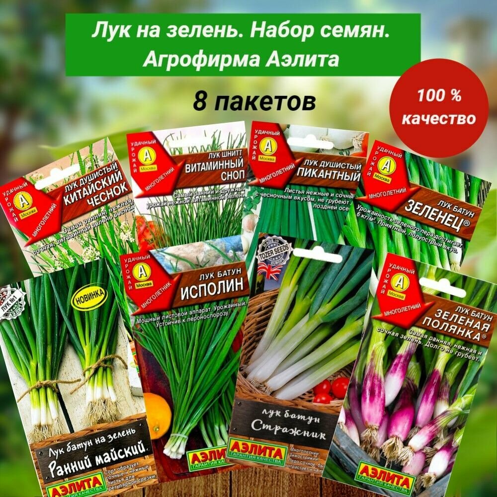 Лук на зелень многолетний. Набор семян 8 пачек. Агрофирма "Аэлита".