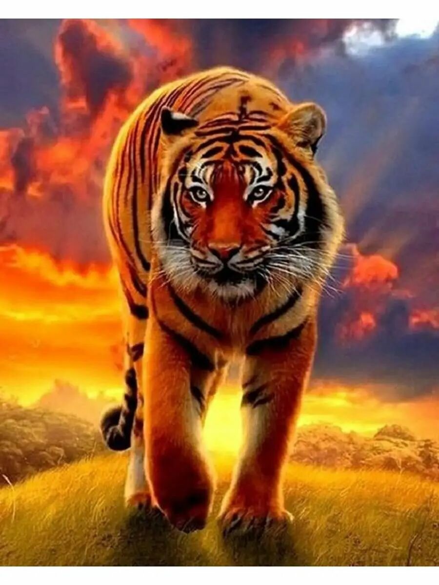 Алмазная мозаика на подрамнике 40х50 полная выкладка Тигр на закате