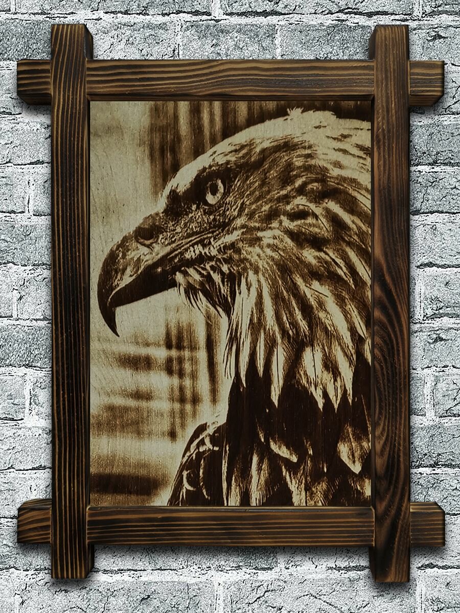 Картина Vilartwood "Взгляд орла" с рамой 39х30 см коричневый 1 шт