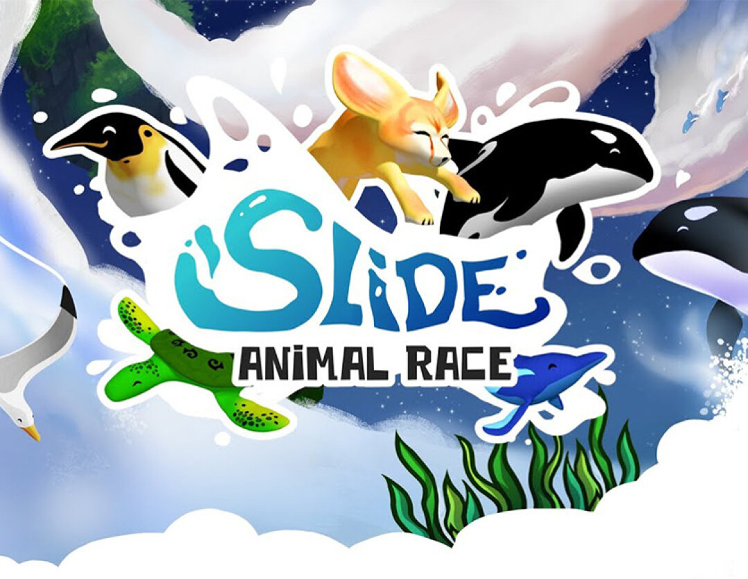 Slide - Animal Race