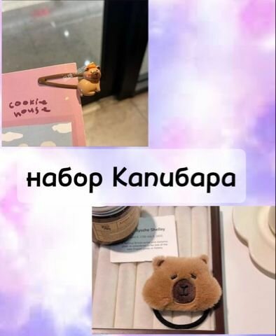 Набор Капибара, для девочек, 4 аксессуара