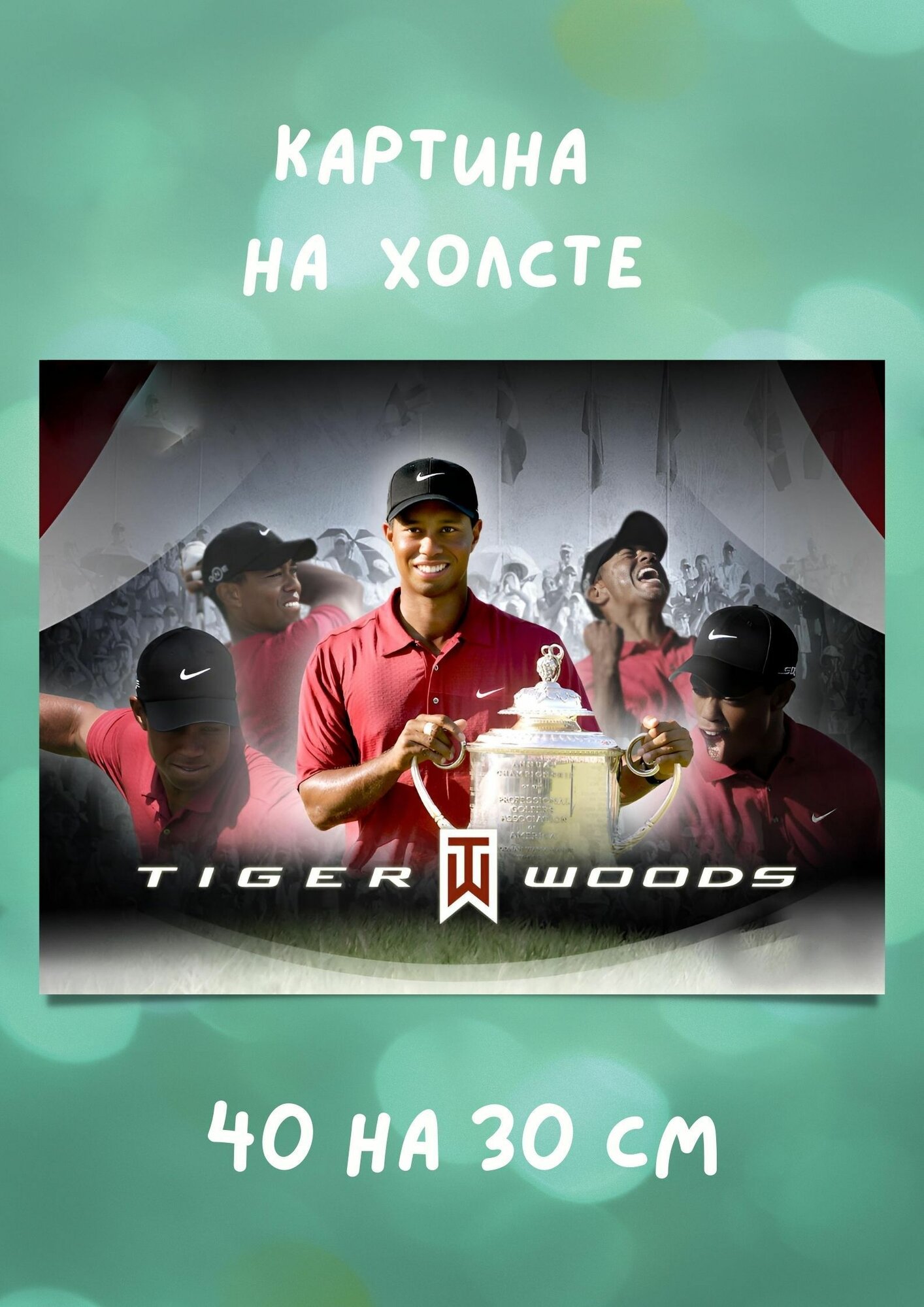 Картина великий игрок в гольф "Тайгер Вудс Tiger Woods" на холсте для интерьера