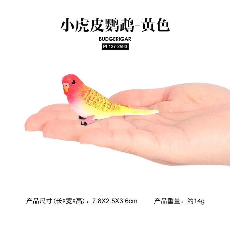 Миниатюрный попугай Budgerigar, желтый, PL127-2593
