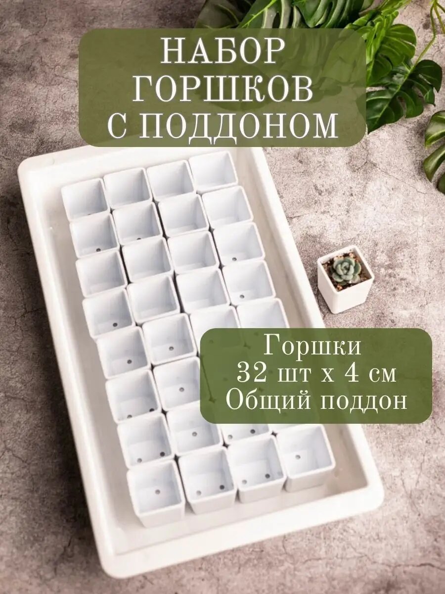 Набор горшки с поддоном для кактусов суккулентов