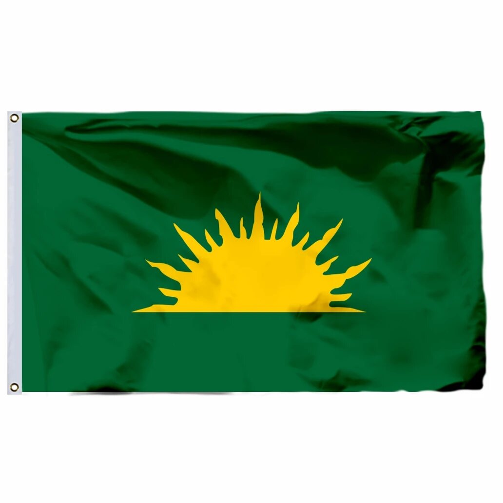 Флаг Ирландии полиэстер Темно-зеленый, 30X20CM-5PCS, Green Sunburst