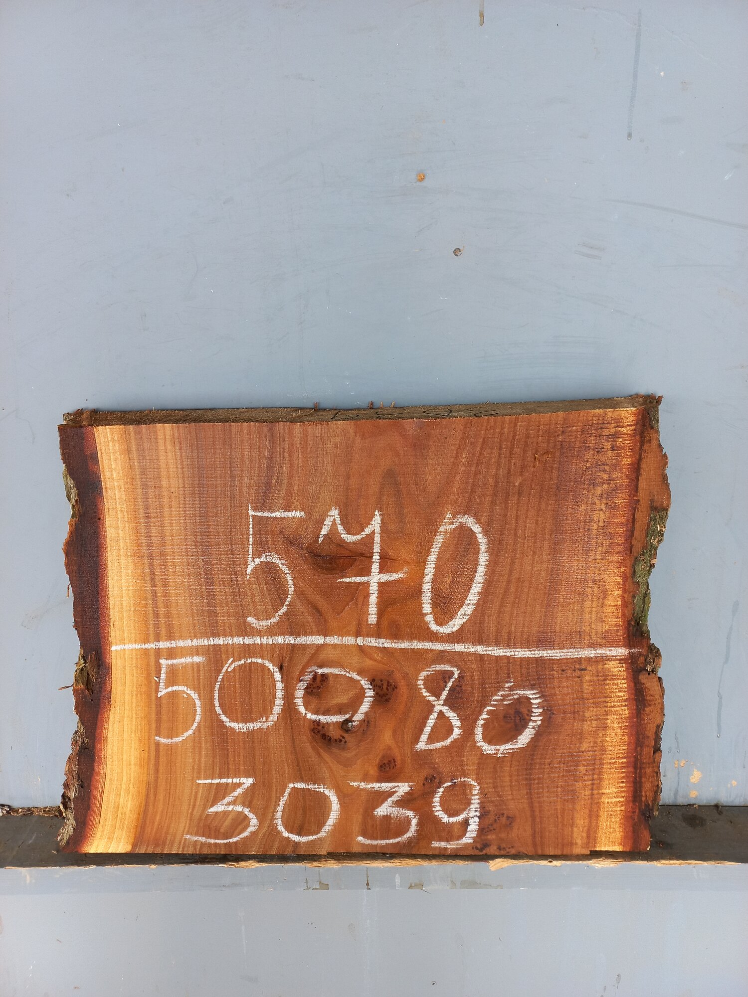 Слэб Доклес №3039 карагач, цвет коричневый, рельефный, для столешницы, 8х57х50 см