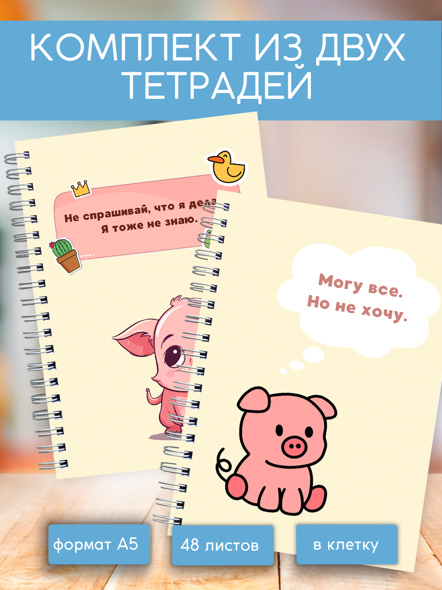 Тетрадь в клетку общая на пружине 2 шт.