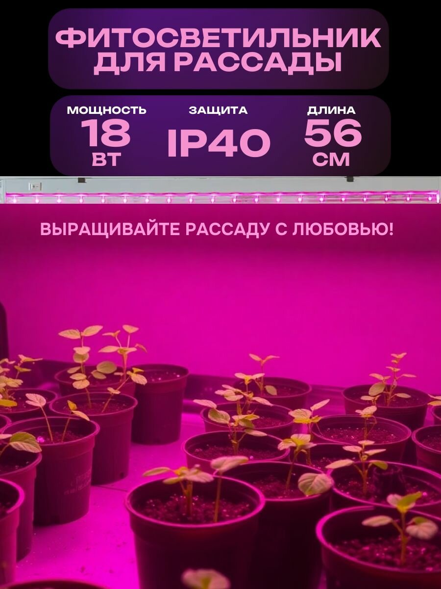 Фитосветильник линейный светодиодный, длина 562 мм, 18 Вт, красно-синий спектр розовый свет: предназначен для стимуляции роста растений в домашних условиях при недостатке естественного освещения