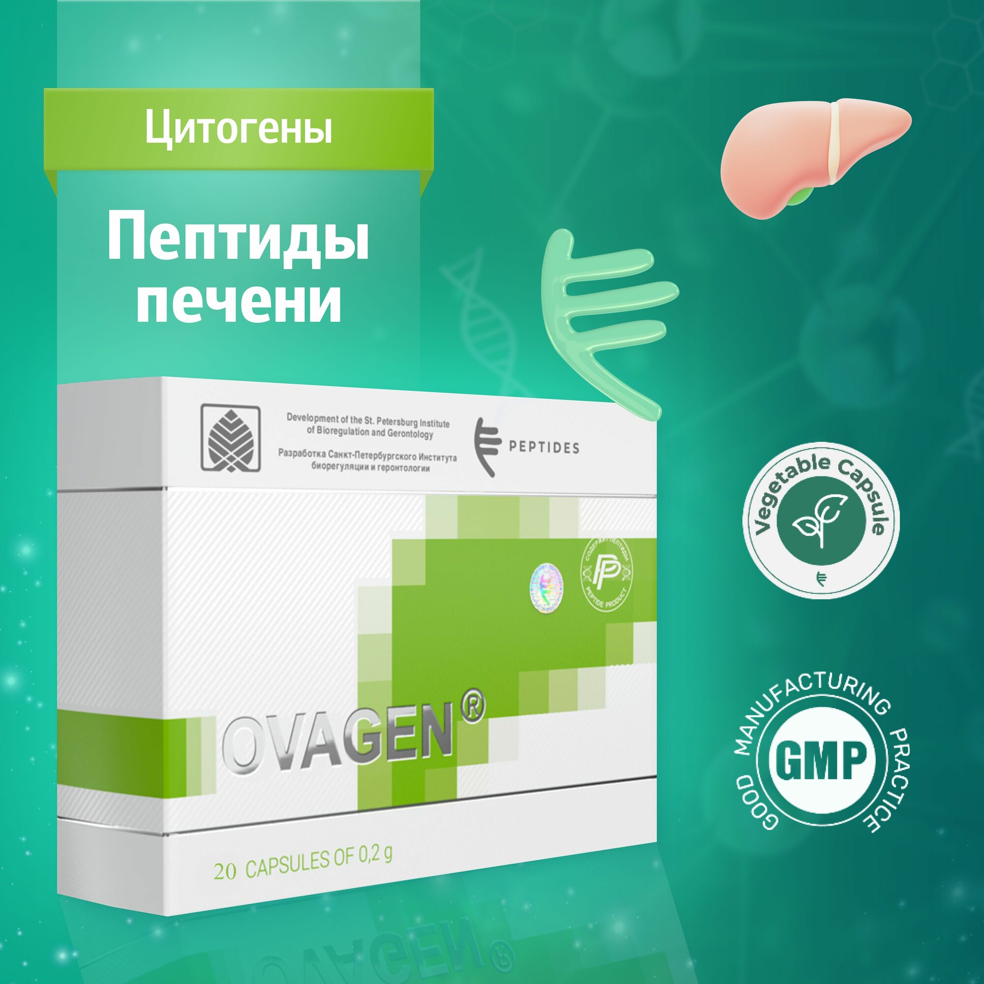 Оваген - пептиды Хавинсона для печени и ЖКТ (20 капсул) I восстановление функций и защита
