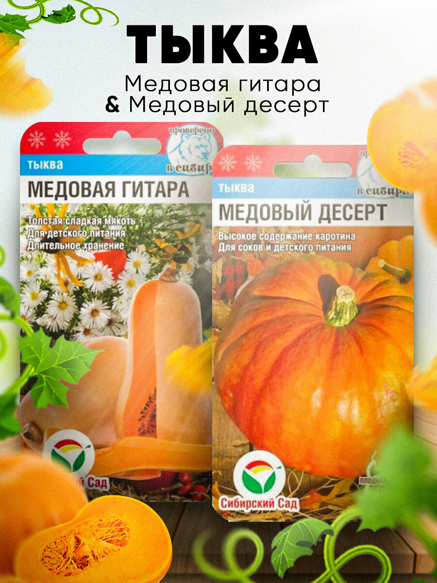 Тыква Медовая гитара и Медовый десерт