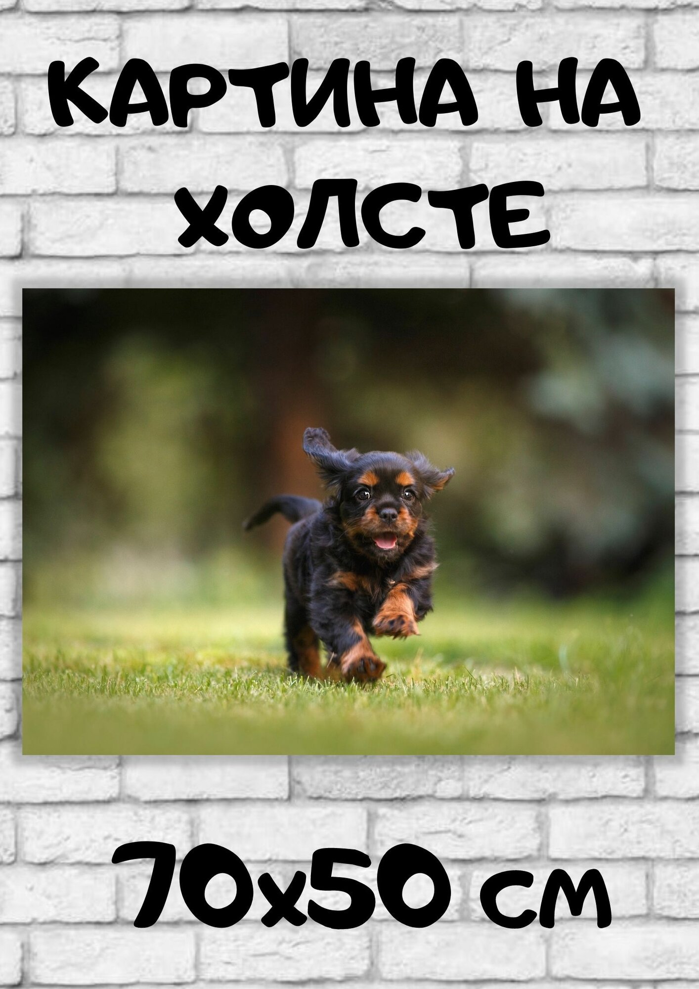 Картина с красивой собакой / Фотокартина для интерьера с псом