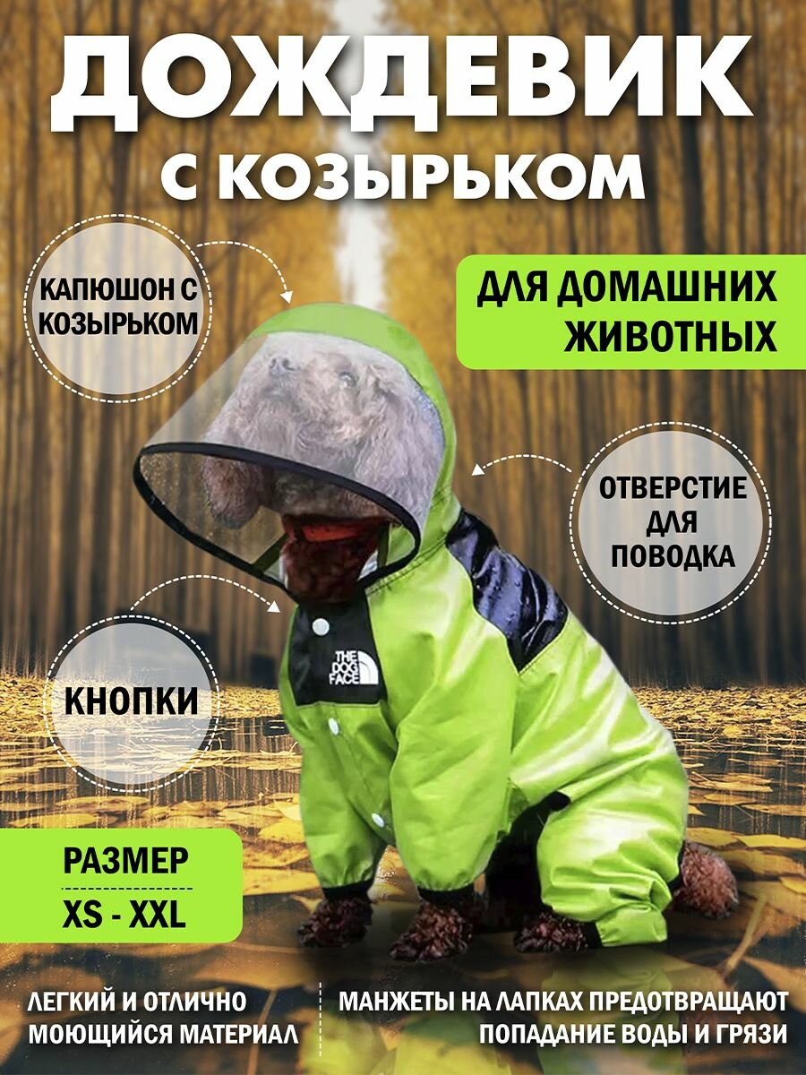 Одежда для животных