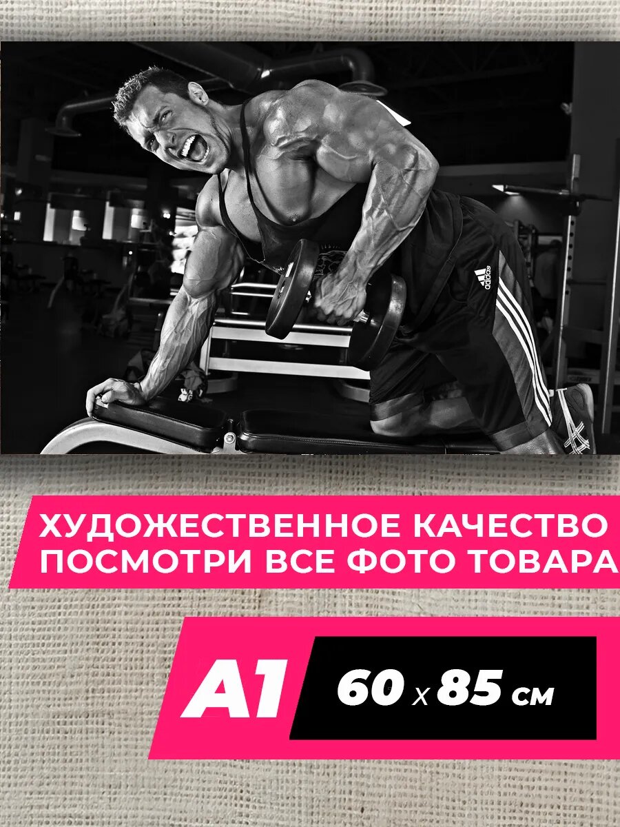 Постер бодибилдинг на стену 36 размер A1, матовая фотобумага премиум качества
