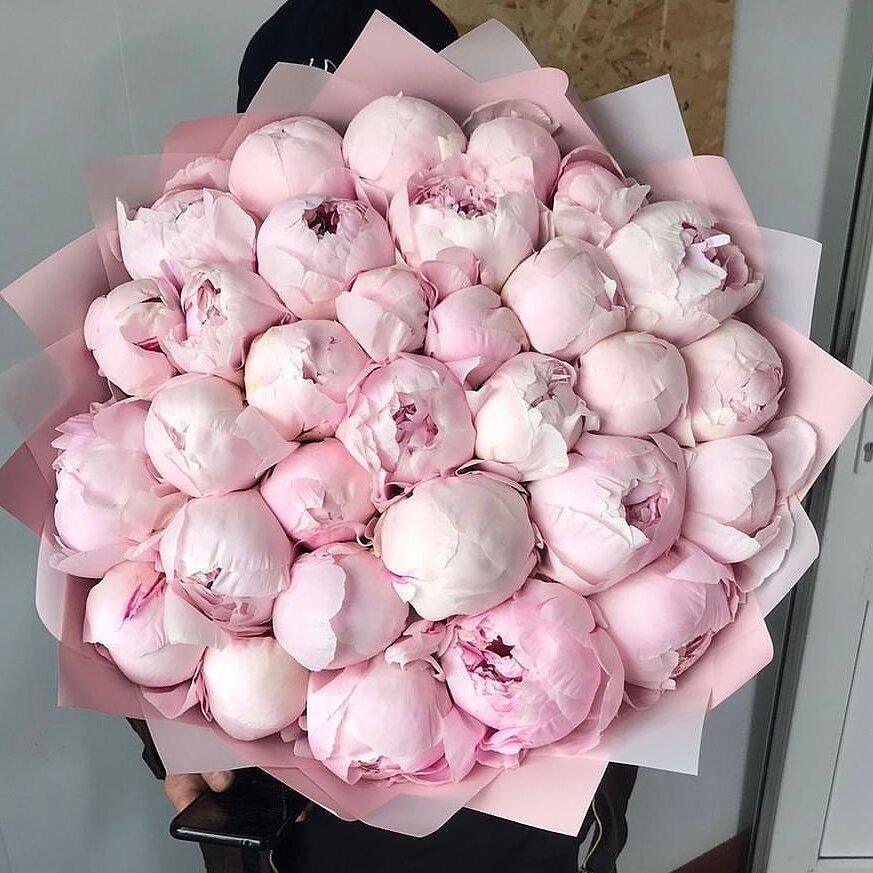 Букет из розовых пионов 29 шт, красивый букет цветов, шикарный, премиум цветы, премиум букет