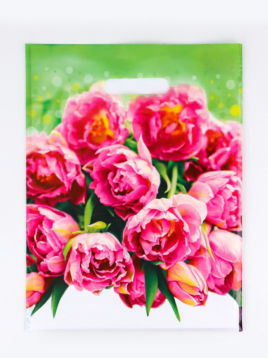 Пакет подарочный "Натюрель" полиэтиленовый с вырубной ручкой, 30x40 см, 30 мкм, 50 шт.