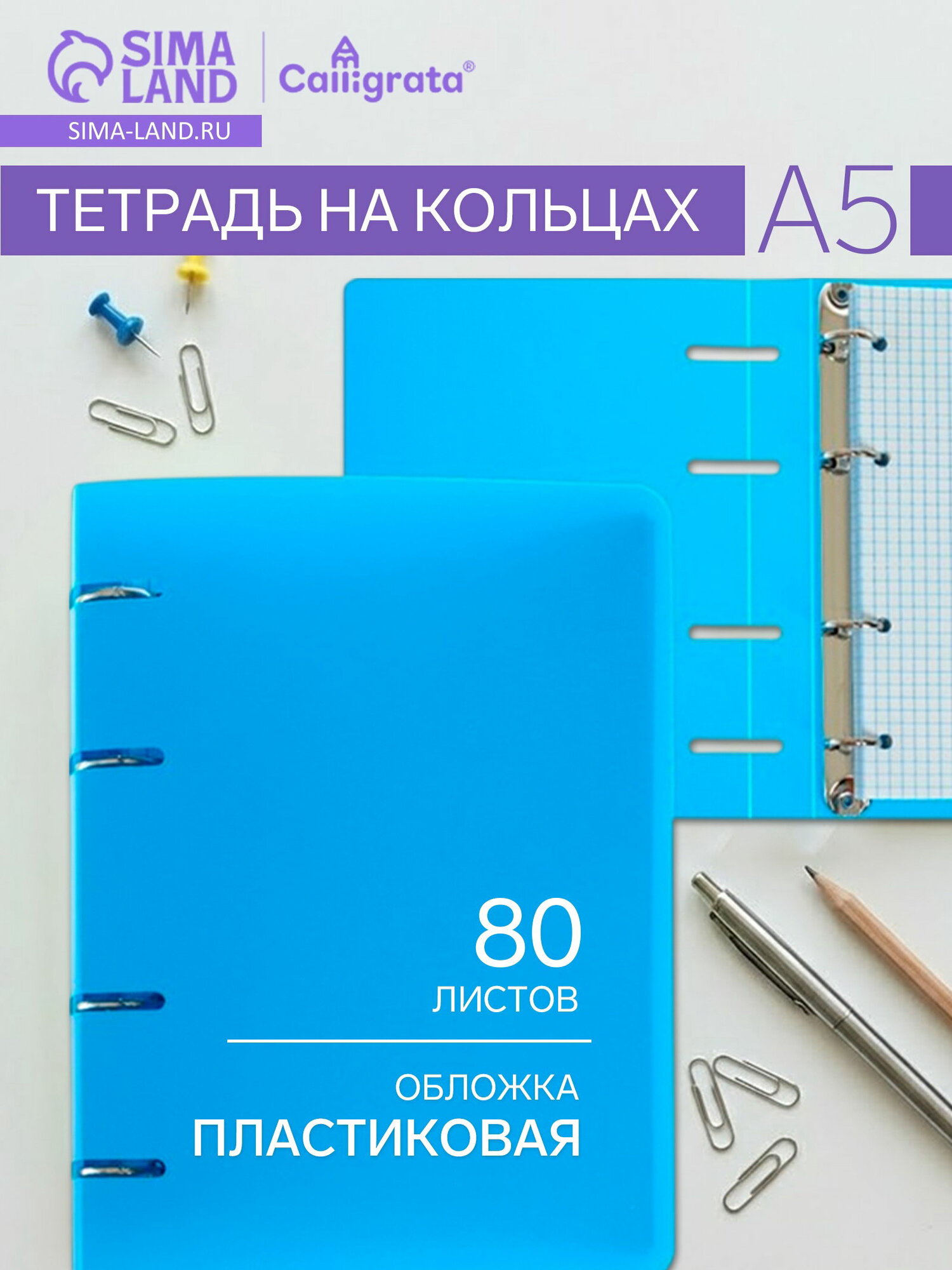 Тетрадь на кольцах A5, 80 листов, в клетку, пластиковая обложка, блок офсет, голубая