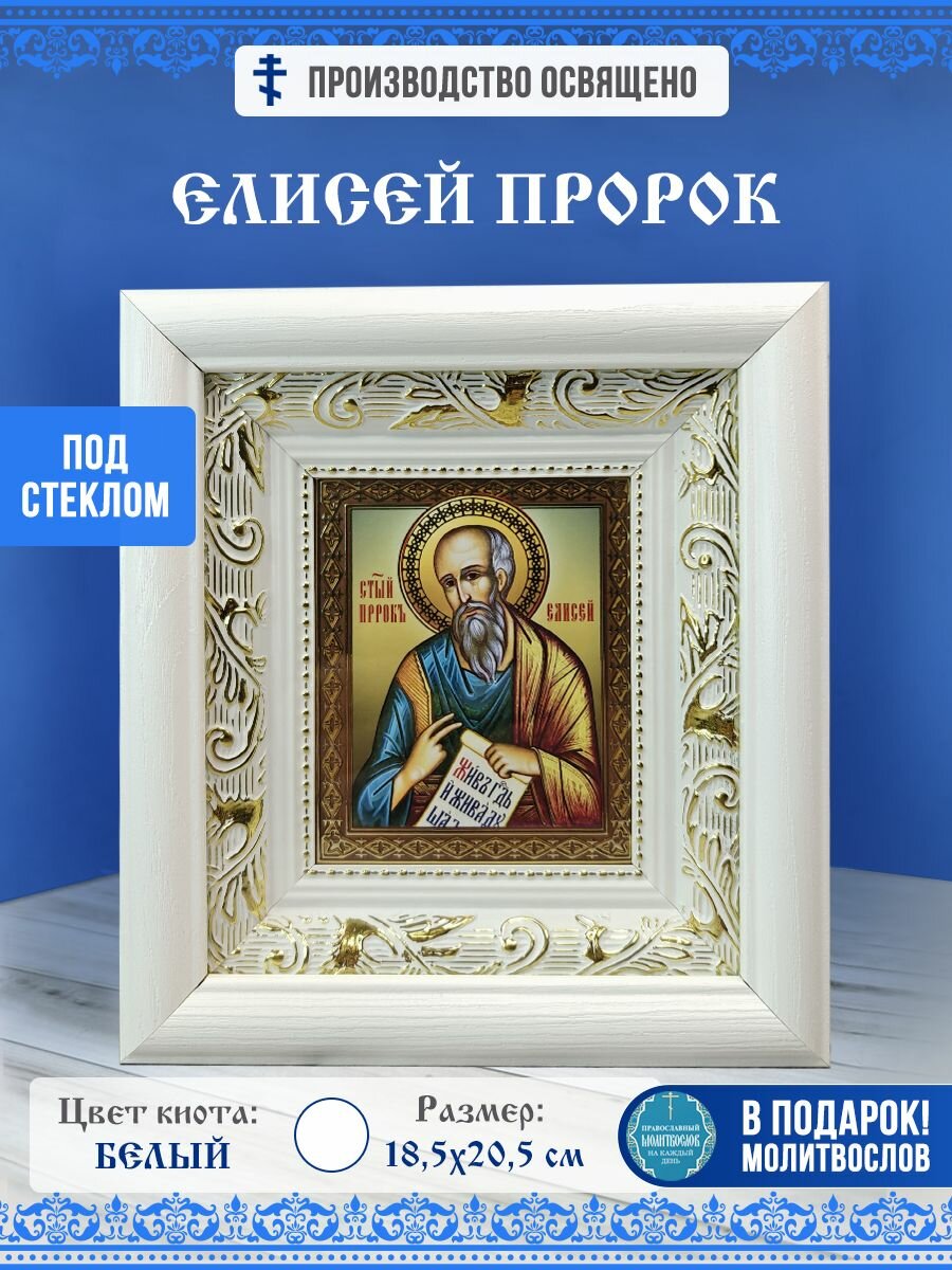 Икона Елисей Пророк, в киоте за стеклом 18,5х20,5см