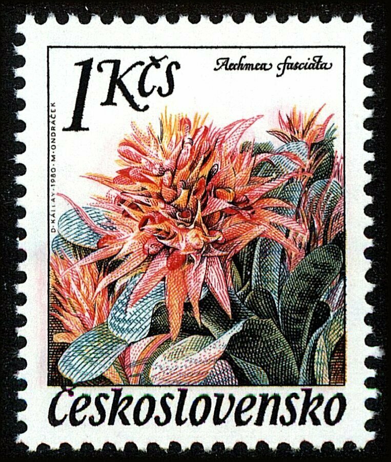 (1980-035) Марка Чехословакия "Эхмея" Цветочные выставки III