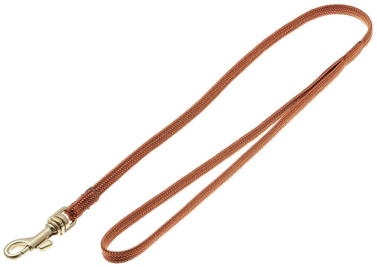 Водилка для малых и средних пород собак и кошек (ширина 5 мм), золотой карабин, Zoo One, светло-коричневый, длина 50 см