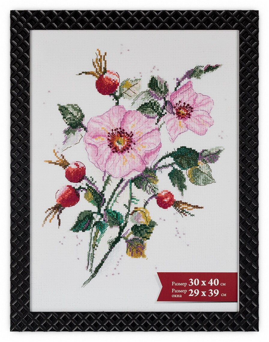 Gamma ПРК-14-KY46 рамка 30x40 см из пластика с оргстеклом черная для фотографий в интерьере